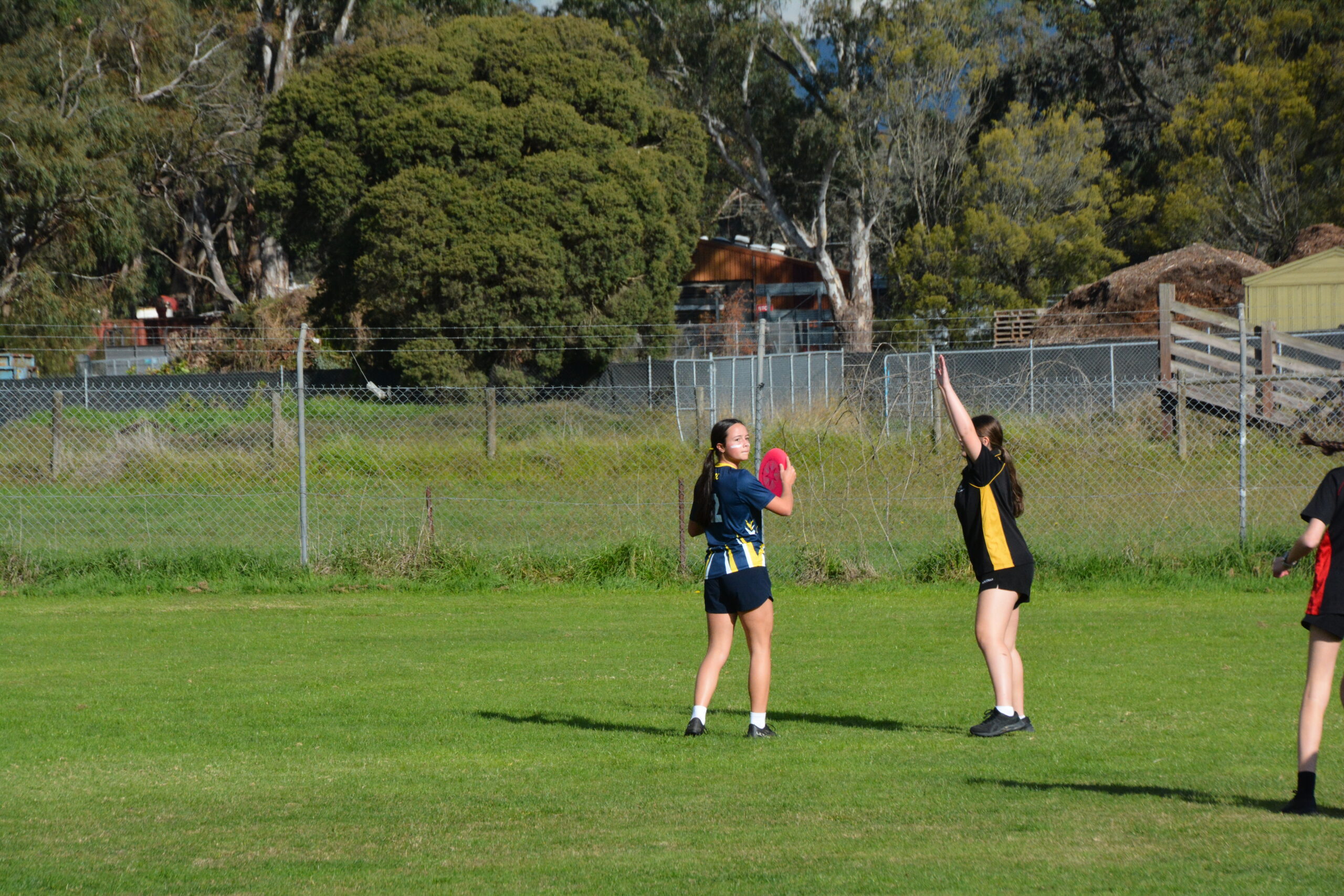 Ultimate Frisbee | EISM