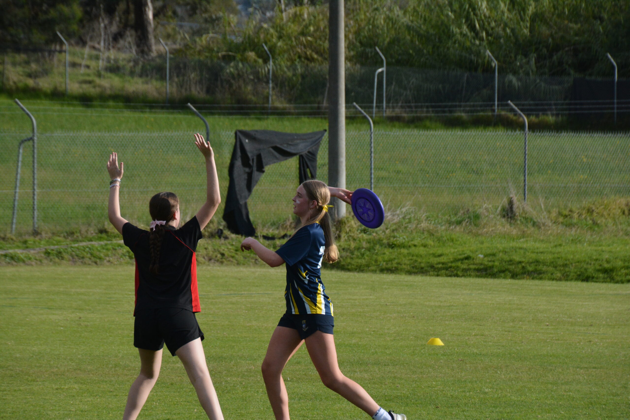 Ultimate Frisbee | EISM