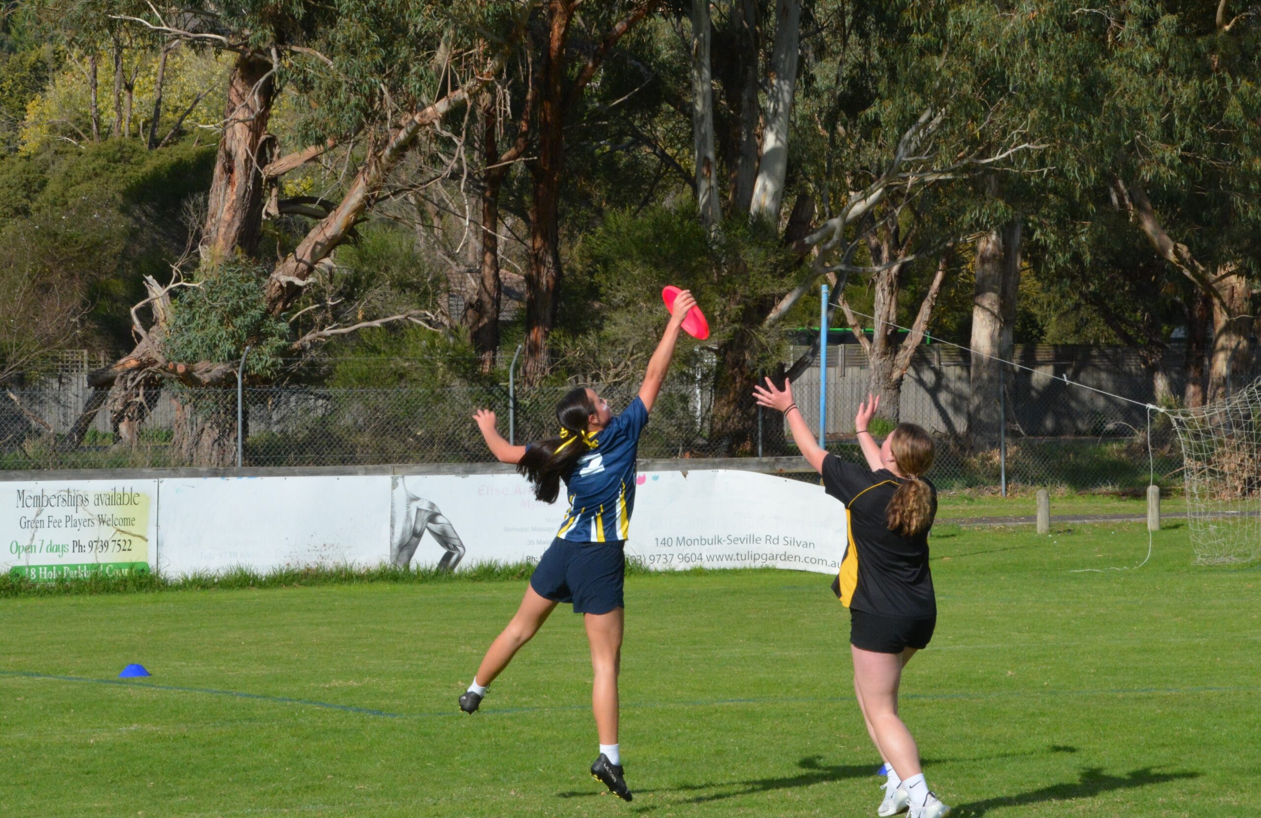 Ultimate Frisbee | EISM